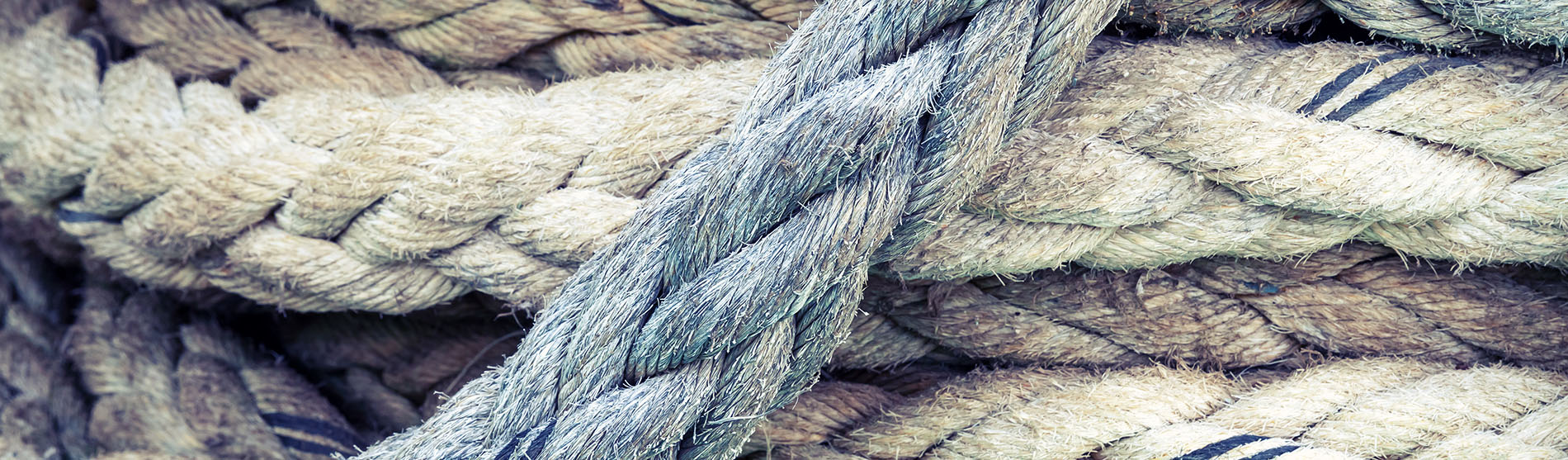 Fallbrook Union High | Resources and Information